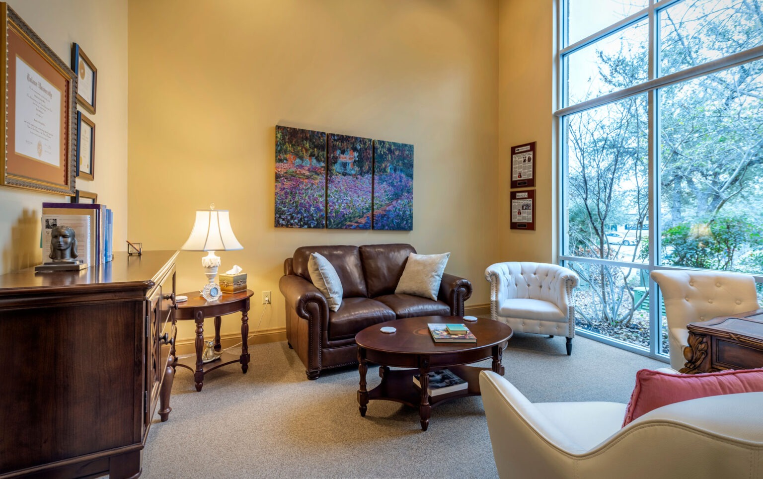 Deborah Levi Lane, LCSW, PLLC - San Antonio Clinical Concierge Therapist